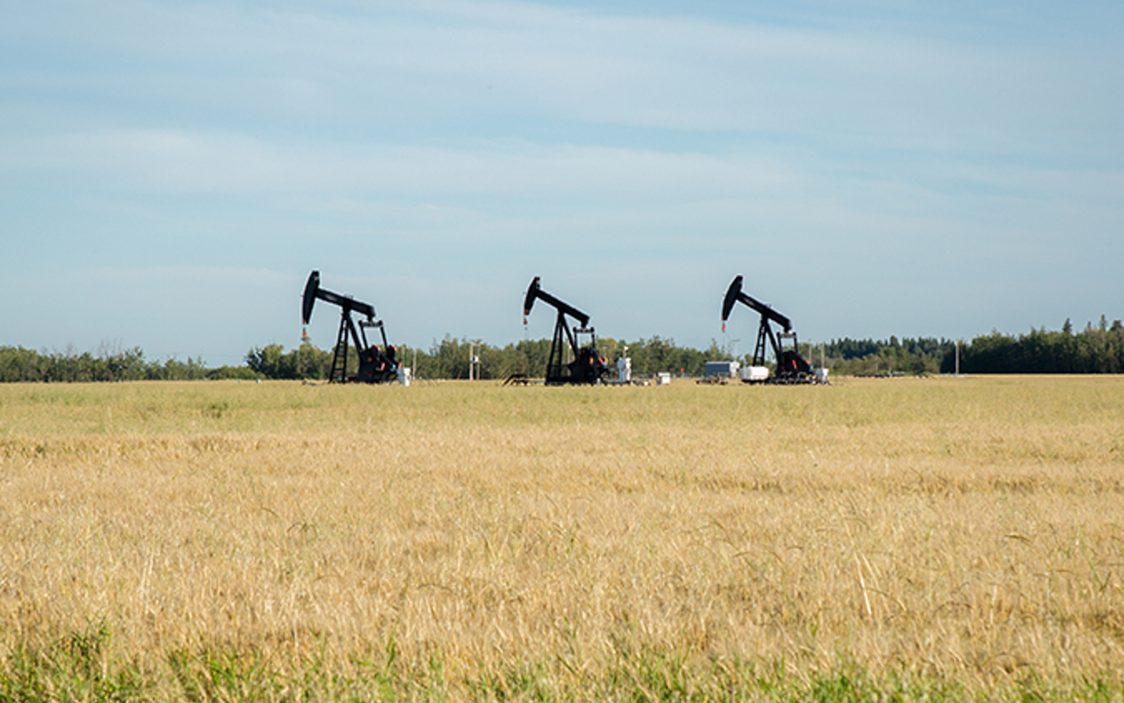 Home | Business in Leduc County