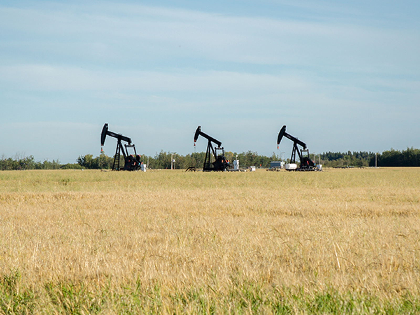 Sectors | Business in Leduc County